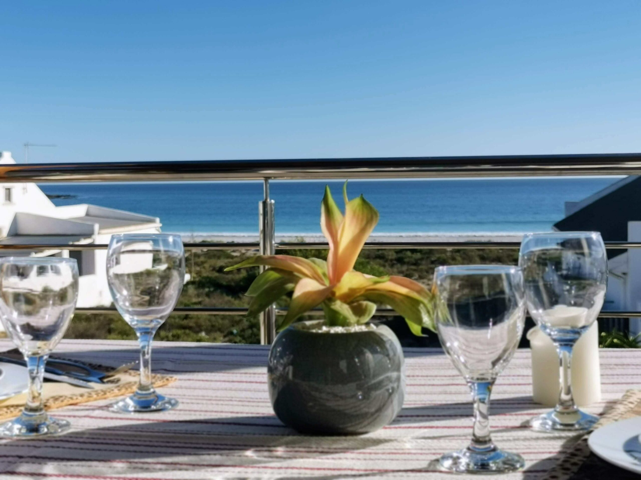 The Wild Card - Book-it-Now