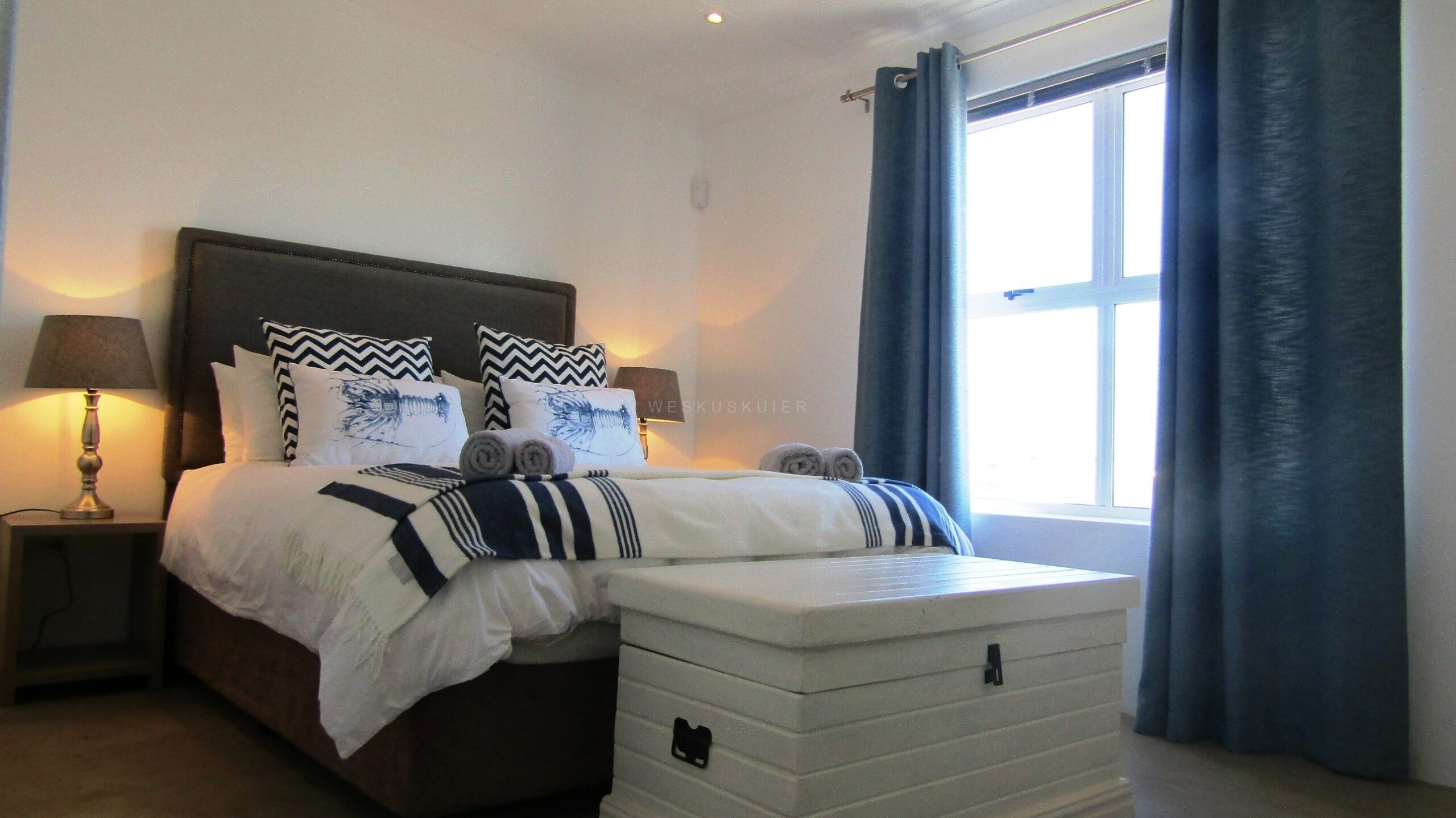 The Wild Card - Book-it-Now