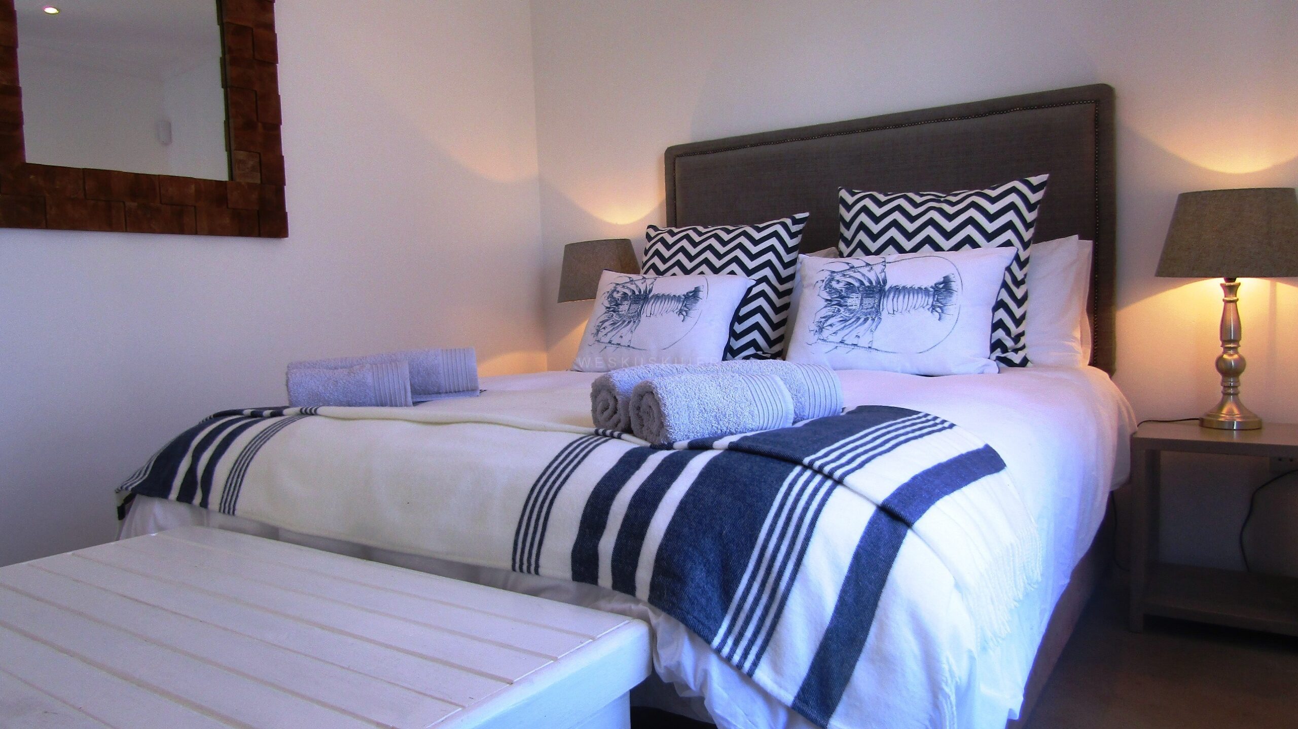 The Wild Card - Book-it-Now