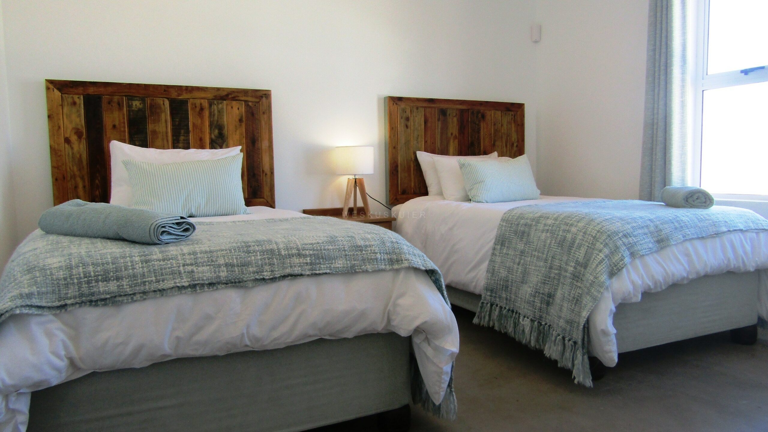 The Wild Card - Book-it-Now